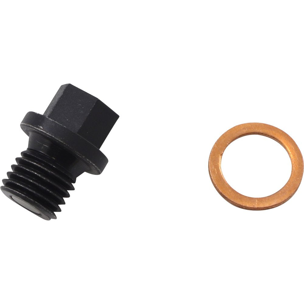 QUAD LOGIC Engine Drain Plug 100-2389 – SistersMoto