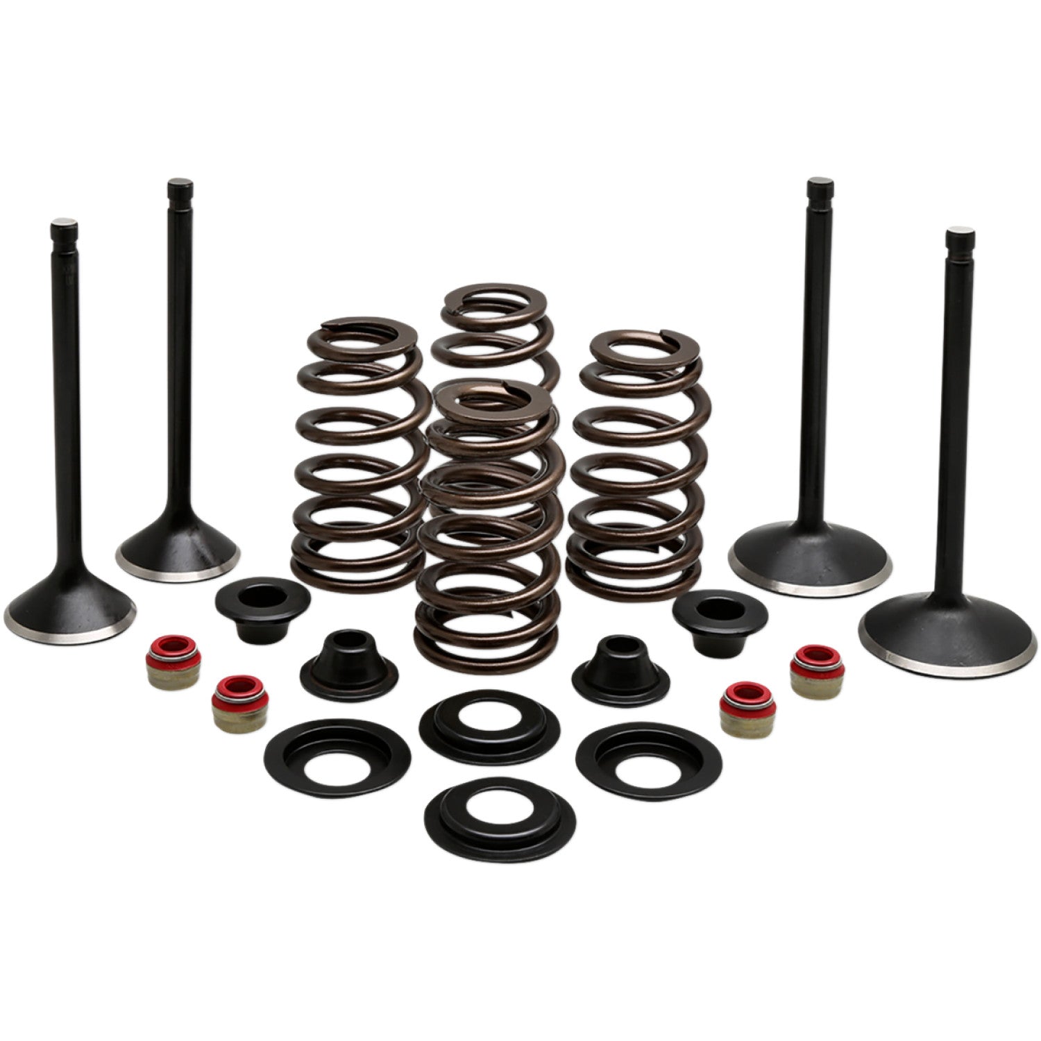 Kibblewhite Complete Valve Kit - Evolution/1200 20-22850 | Valves ...